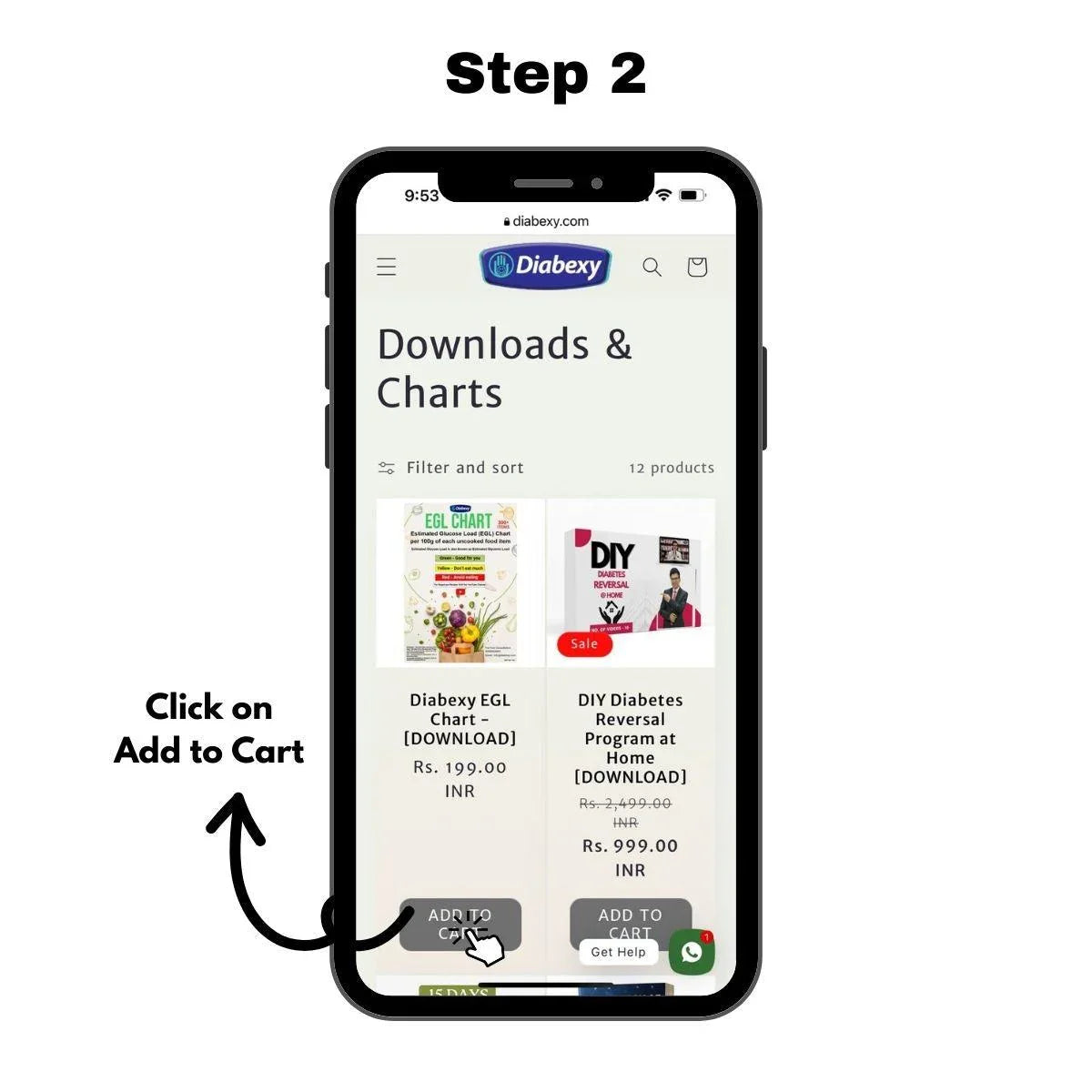 Diabexy Original EGL Chart with Diet Plan @ ₹99 - GL Chart